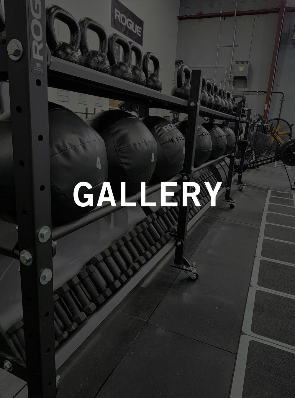 Gallery – Lions Den Gym